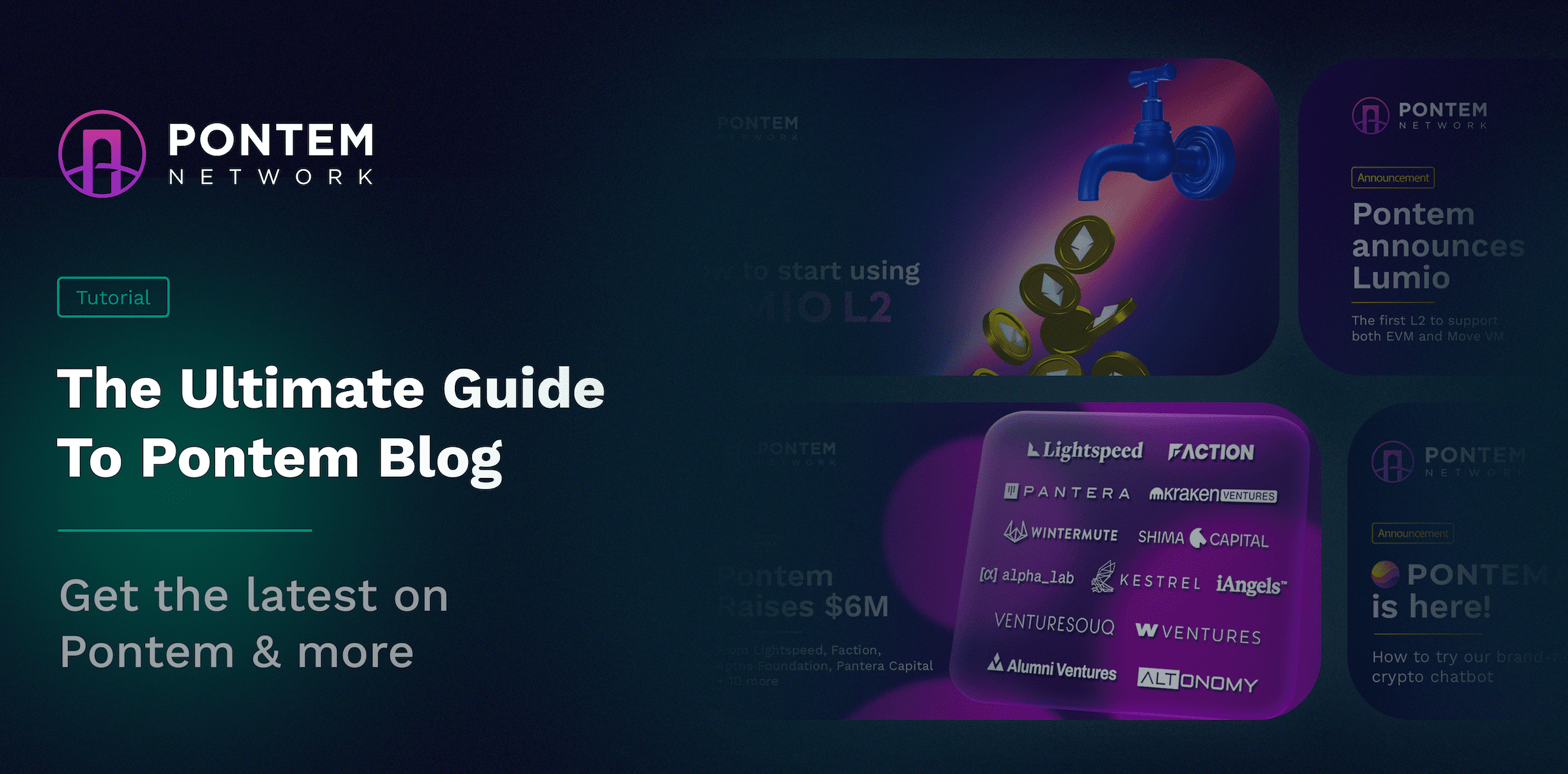 The Ultimate Guide to Pontem Blog